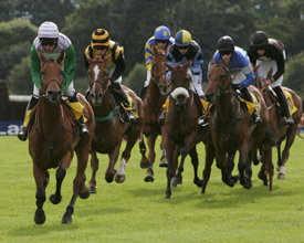 Perth Races STV Appeal Party Perth Race Course