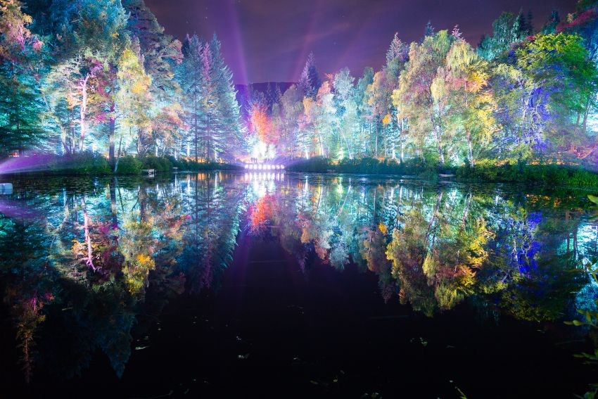 Enchanted Forest 2015 Gallery