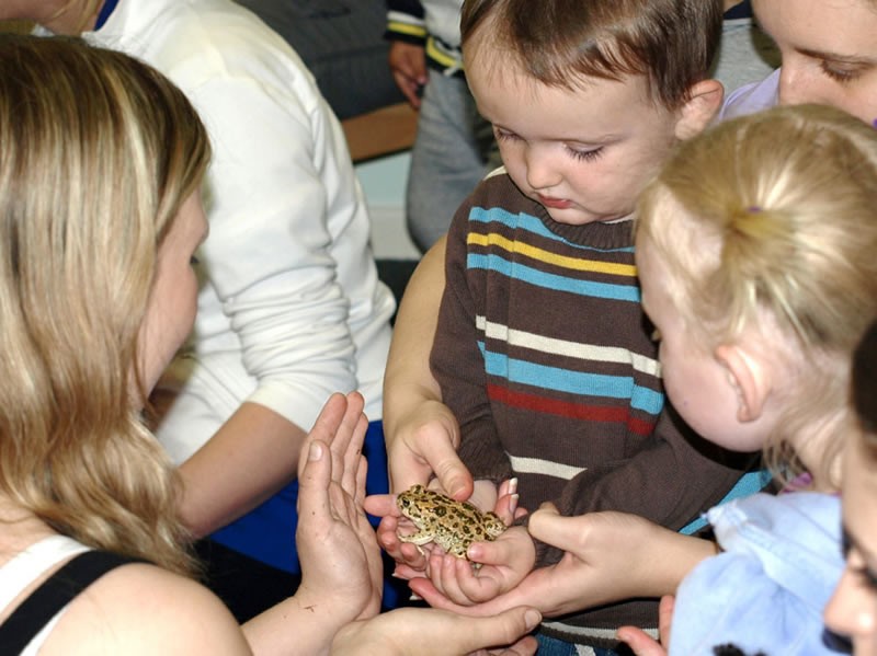 Meet The Zoolab Animals