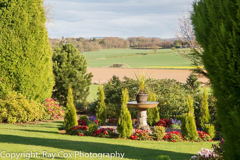 A Garden Gathering The Stackyard House