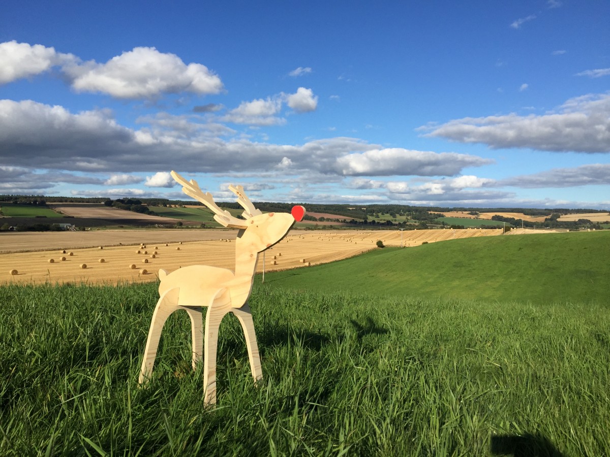 Ellen Watt Designs Pop-up shop Drumtogle Farm