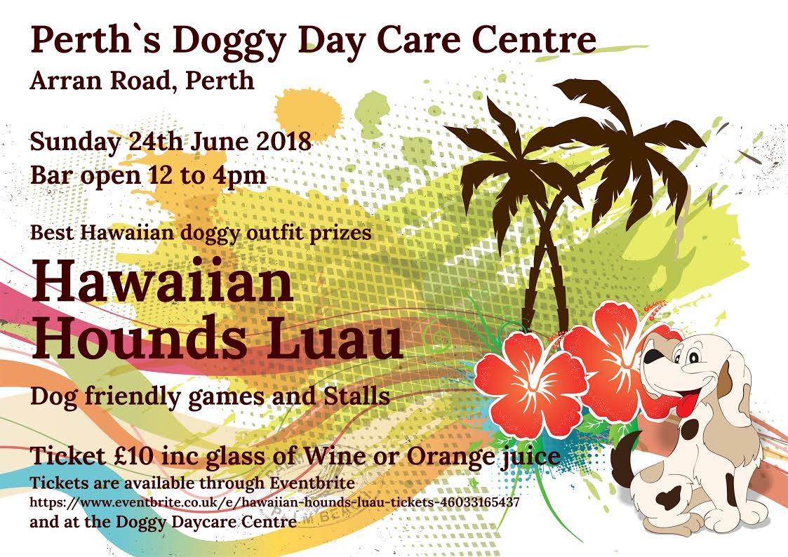 Hawaiian Hounds Luau at Perth Pet Care